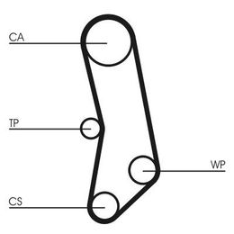 CONTINENTAL CTAM Wasserpumpe + Zahnriemensatz ct503wp1 f&uuml;r LANCIA AUTOBIANCHI