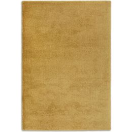 Teppich Astra "Salerno 250", gold, B:67cm H:3mm L:130cm, Polyester, Teppiche, Teppich, Indoor, Designed in Germany, Oeko-Tex