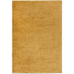 Teppich Astra "Salerno 250", gold, B:200cm H:3mm L:290cm, Polyester, Teppiche, Teppich, Indoor, Designed in Germany, Oeko-Tex