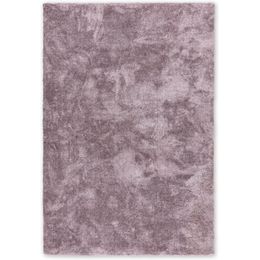 Teppich Astra "Salerno 250", lila meliert, B:80cm H:3mm L:150cm, Polyester, Teppiche, Teppich, Indoor, Designed in Germany, Oeko-Tex