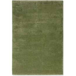 Teppich Astra "Savona 260", gr&uuml;n, B:80cm H:2mm L:150cm, Polypropylen, Teppiche, Teppich, Indoor, Designed in Germany, Oeko-Tex