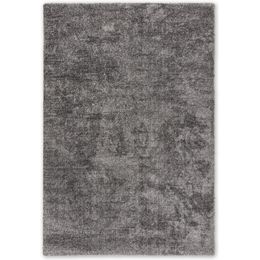 Teppich Astra "Salerno 250", grau meliert, B:200cm H:3mm L:290cm, Polyester, Teppiche, Teppich, Indoor, Designed in Germany, Oeko-Tex