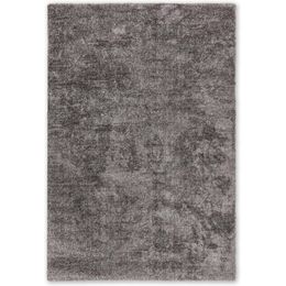 Teppich Astra "Salerno 250", grau meliert, B:160cm H:3mm L:230cm, Polyester, Teppiche, Teppich, Indoor, Designed in Germany, Oeko-Tex