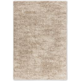 Teppich Astra "Salerno 250", beige meliert, B:80cm H:3mm L:150cm, Polyester, Teppiche, Teppich, Indoor, Designed in Germany, Oeko-Tex