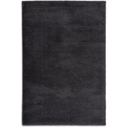 Teppich Astra "Salerno 250", anthrazit, B:200cm H:3mm L:290cm, Polyester, Teppiche, Teppich, Indoor, Designed in Germany, Oeko-Tex