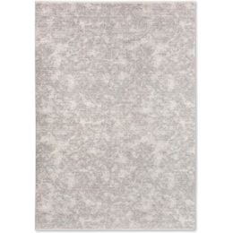 Teppich Astra "Venosa 251", silber, B:200cm H:0,5mm L:290cm, Polyester, Viskose, Teppiche, Teppich, Indoor, Designed in Germany, Oeko-Tex