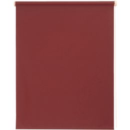 Seitenzugrollo SUNLINES "Uni" Gr. 5, rot (cherryrot), B:142cm H:180cm, Polyester, Rollos, Seitenzugrollo, 1 St&uuml;ck