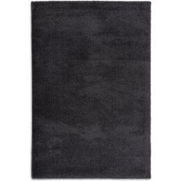 Teppich Astra "Salerno 250", anthrazit, B:160cm H:3mm L:230cm, Polyester, Teppiche, Teppich, Indoor, Designed in Germany, Oeko-Tex