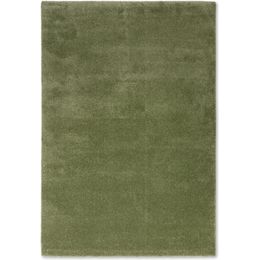Teppich Astra "Savona 260", gr&uuml;n, B:160cm H:2mm L:230cm, Polypropylen, Teppiche, Teppich, Indoor, Designed in Germany, Oeko-Tex