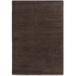 Teppich Astra "Savona 260", braun, B:200cm H:2mm L:290cm, Polypropylen, Teppiche, Teppich, Indoor, Designed in Germany, Oeko-Tex
