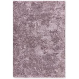 Teppich Astra "Salerno 250", lila meliert, B:160cm H:3mm L:230cm, Polyester, Teppiche, Teppich, Indoor, Designed in Germany, Oeko-Tex
