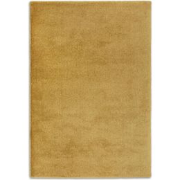 Teppich Astra "Salerno 250", gold, B:80cm H:3mm L:150cm, Polyester, Teppiche, Teppich, Indoor, Designed in Germany, Oeko-Tex