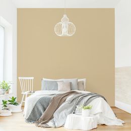 Unitapete Colour Light Brown