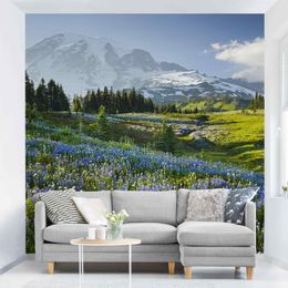 Fototapete Blumen Bergwiese mit blauen Blumen vor Mt. Rainier
