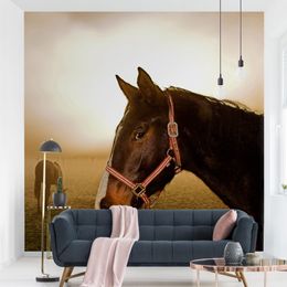 Bilderwelten Fototapete Textiltapete Stofftapete - nahtlose Tapete | Early Horse