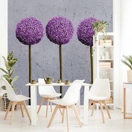 Bilderwelten Fototapete Textiltapete Stofftapete - nahtlose Tapete | Allium Kugel-Bl&uuml;ten