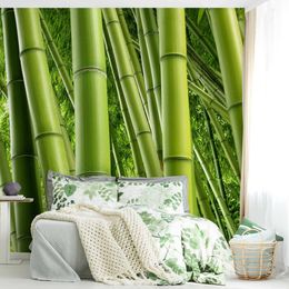 Fototapete Natur Bamboo Trees