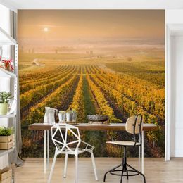 Bilderwelten Fototapete Textiltapete Stofftapete - nahtlose Tapete | Herbstliche Weinberge bei Wien