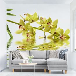 Bilderwelten Fototapete Textiltapete Stofftapete - nahtlose Tapete | Elegant Orchid Waters