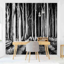 Fototapete Natur Geisterwald