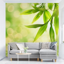 Fototapete Blumen Green Ambiance I