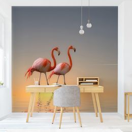 Fototapete Tiere Flamingo Love