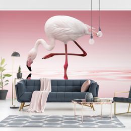 Fototapete Tiere Flamingo Dance