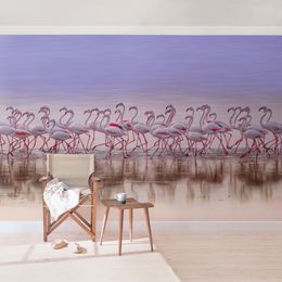 Fototapete Tiere Flamingo Party
