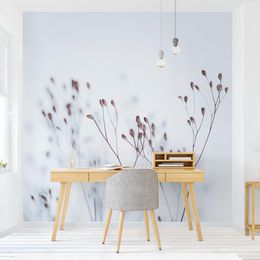 Fototapete Zartblaue Wildblumen
