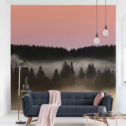 Fototapete Vertr&auml;umter Waldnebel