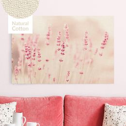 Leinwandbild Zartrosaner Lavendel