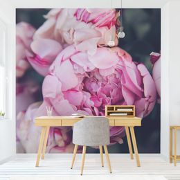 Fototapete Blumen Pfingstrosenbl&uuml;te Shabby