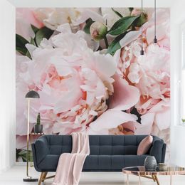 Fototapete Blumen Pfingstrosen Hellrosa