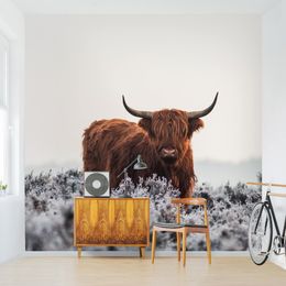 Bilderwelten Fototapete Textiltapete Stofftapete - nahtlose Tapete | Bison in den Highlands