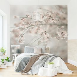 Fototapete F&uuml;r immer Fr&uuml;hling