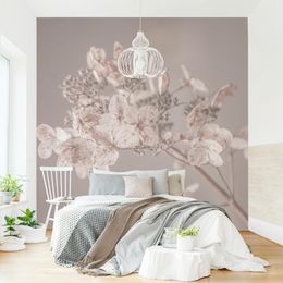Fototapete Zarte wei&szlig;e Hortensie