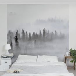 Fototapete Nebel im Tannenwald Schwarz-Wei&szlig;