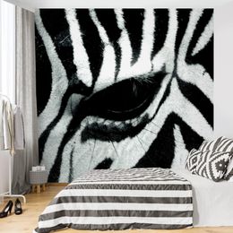 Fototapete Tiere Zebra Crossing No.4