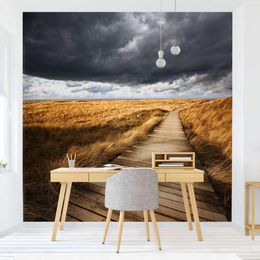Fototapete Strand Weg in den D&uuml;nen