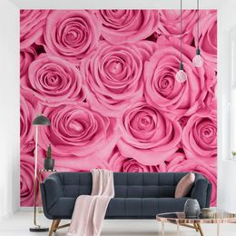 Fototapete Blumen Rosa Rosen