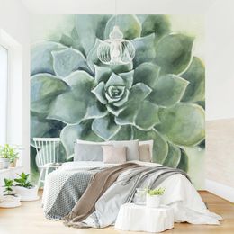 Fototapete Blumen Sukkulente Aquarell Dunkel