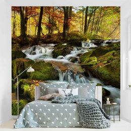 Fototapete Wasserfall herbstlicher Wald