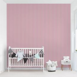 Mustertapete No.YK45 Streifen Rosa