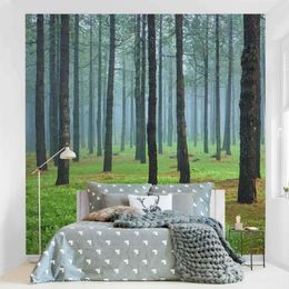 Bilderwelten Fototapete Textiltapete Stofftapete - nahtlose Tapete | Tiefer Wald mit Kiefern auf La Palma