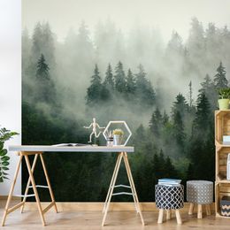 Fototapete Tiefgr&uuml;ner Tannenwald im Nebel