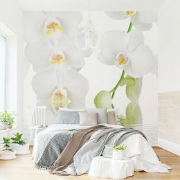 Fototapete Blumen Wellness Orchidee - Wei&szlig;e Orchidee