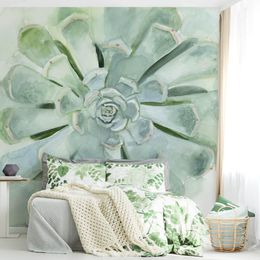 Fototapete Blumen Sukkulente Aquarell Hell
