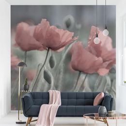 Fototapete Blumen Malerische Mohnblumen