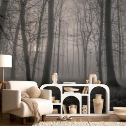 Bilderwelten Fototapete Textiltapete Stofftapete - nahtlose Tapete | Mystischer Wald im Nebel