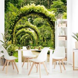 Fototapete Weg durch den botanischen Garten von Singapur